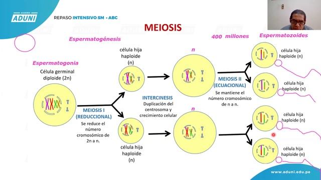 San Marcos REPASO INTENSIVO 2021 | Semana 06 Jueves Parte 02