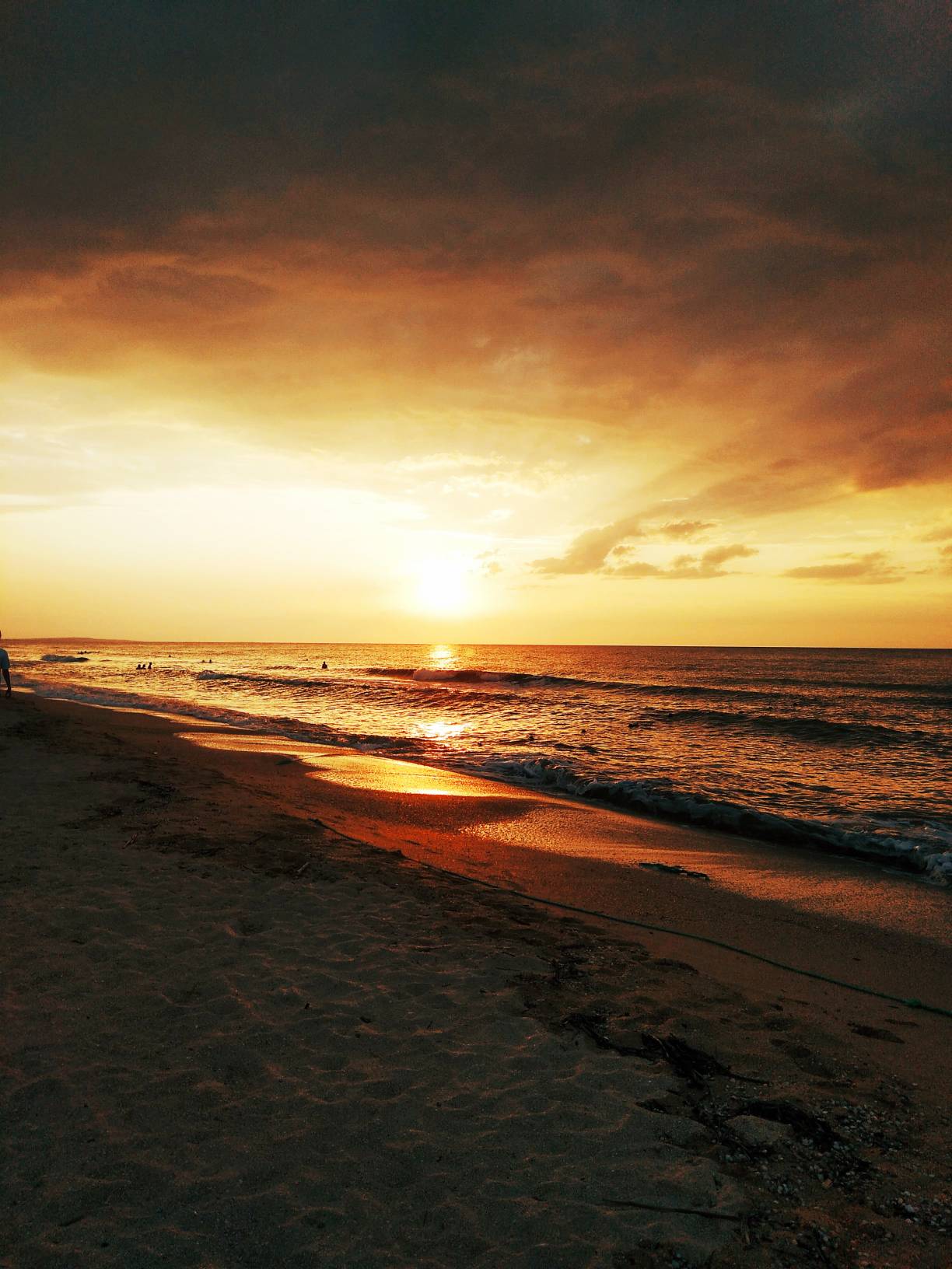 Пятеро на отдыхе,не считая кошки Нюши.