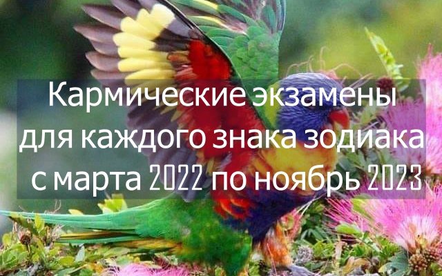 Кармические экзамены для каждого знака зодиака с марта 2022 по ноябрь 2023