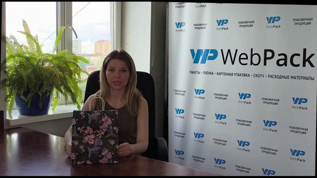 Крафт пакет с кручеными ручками, 250*220*120 (В*Ш*Г) мм, "Колибри"