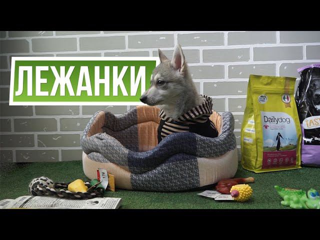 Лежанки для животных