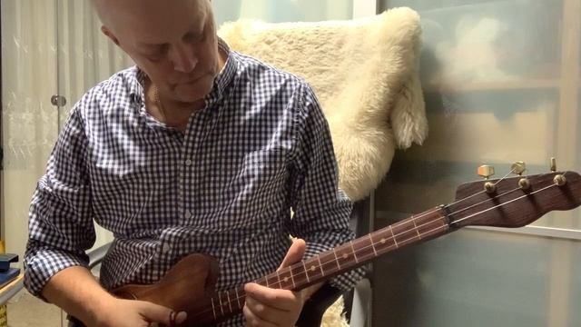 "Moonlight Mile" - On 3-String Guitar.