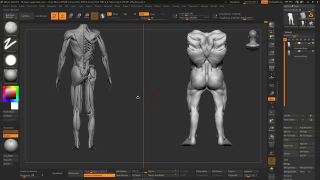 38_Фигура_верхняя часть ноги для создания #3d_персонажей