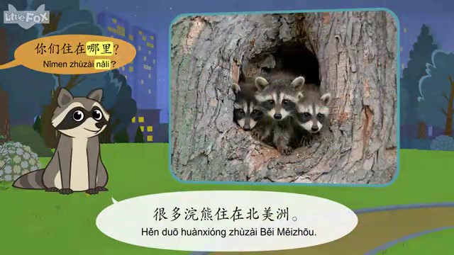 КИТАЙСКИЙ (Енот - 浣熊) A1-79