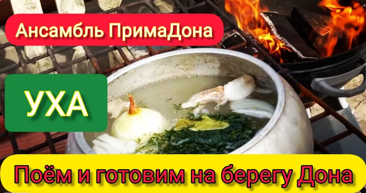 ГОТОВИМ И ПОЁМ / ПРИМАДОНА НА БЕРЕГУ ДОНА