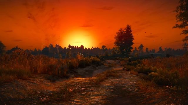 The Witcher 3 Emotional and Relaxing Soundtrack - Sunsets - Witcher Music