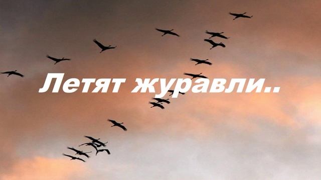Летят журавли, вот зима наступает..
