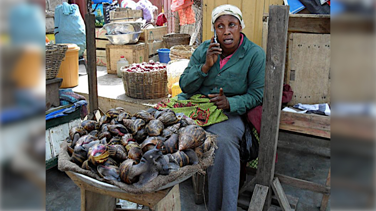 Как нигерийцы приобщают немцев к своей африканской кухне