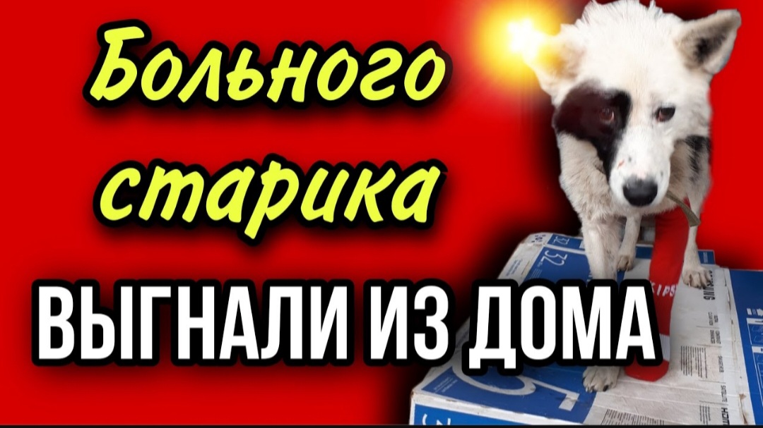 Дружочек