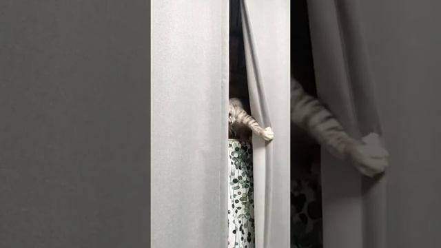 Я же просил не отвлекать.