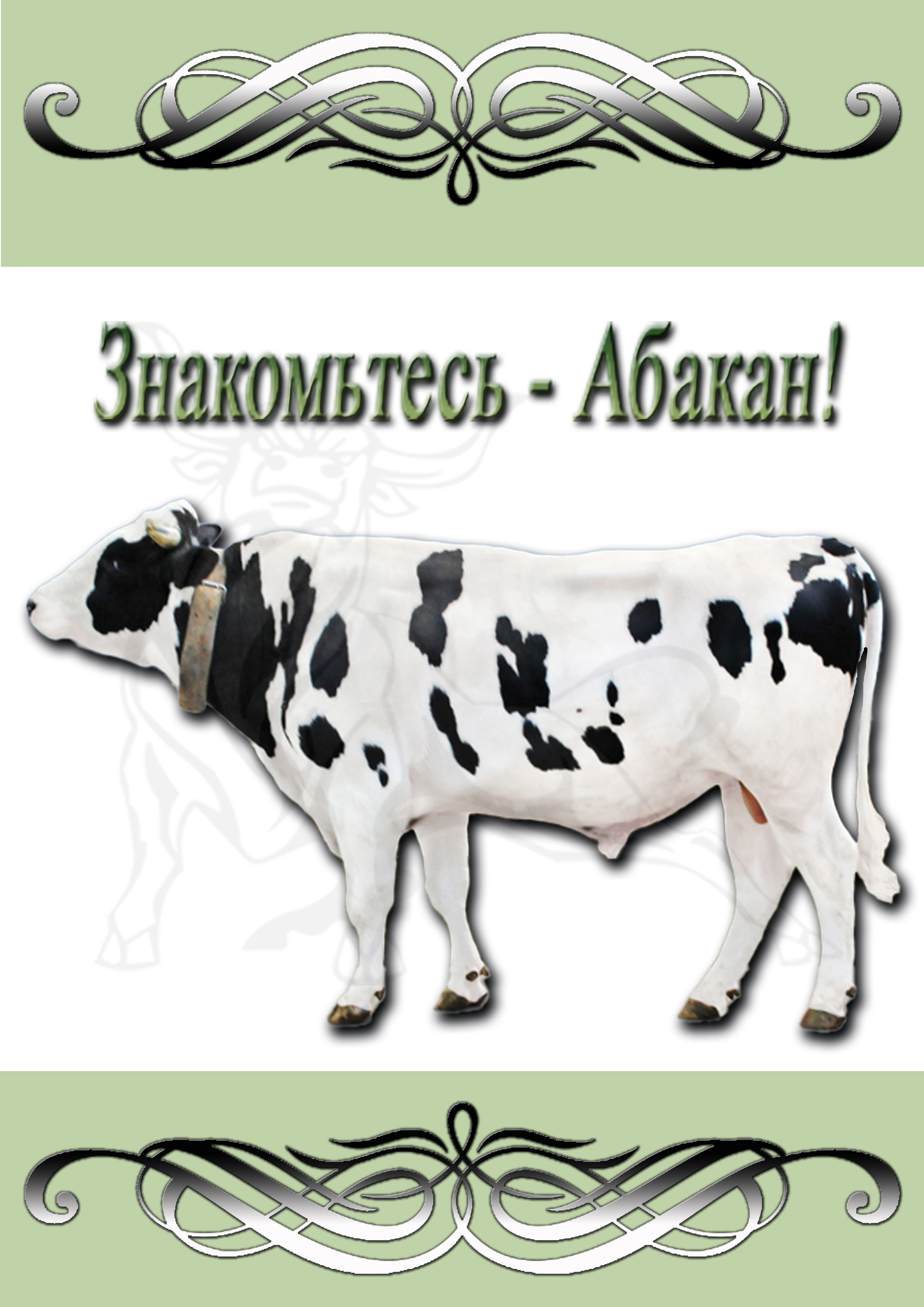 Знакомьтесь - Абакан!