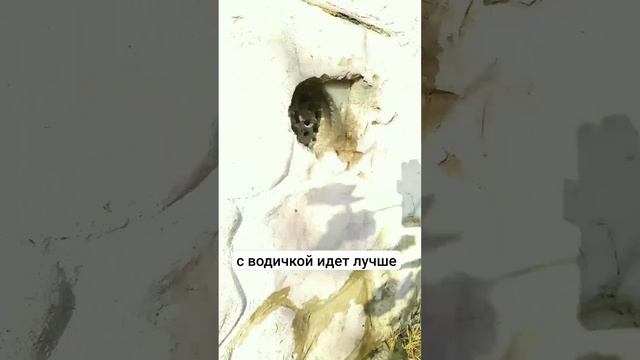 Перф Интерскол + бур гигант 110мм vs фундамент 30см #diy #своимируками #дача