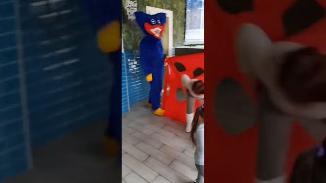 Хаги Ваги на ваш праздник