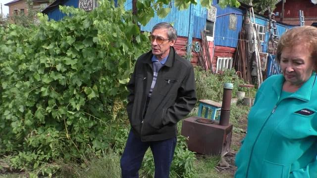 Алтайская лоза 2020.