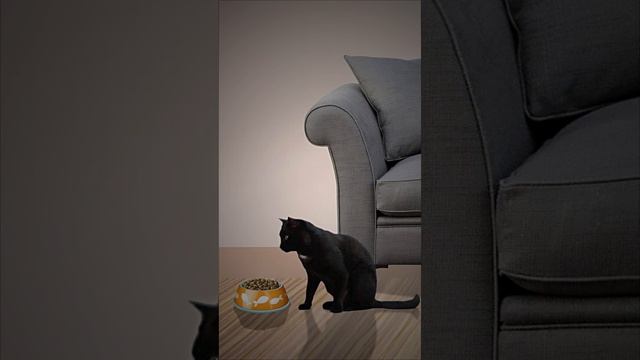 Кот зовёт кушать