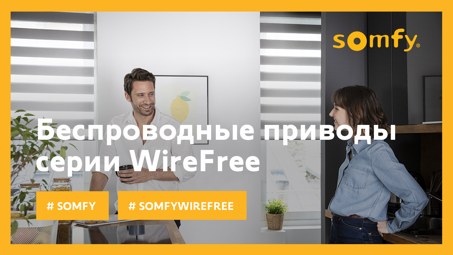 Беспроводные электроприводы Somfy серии WireFree для штор и жалюзи (12+)