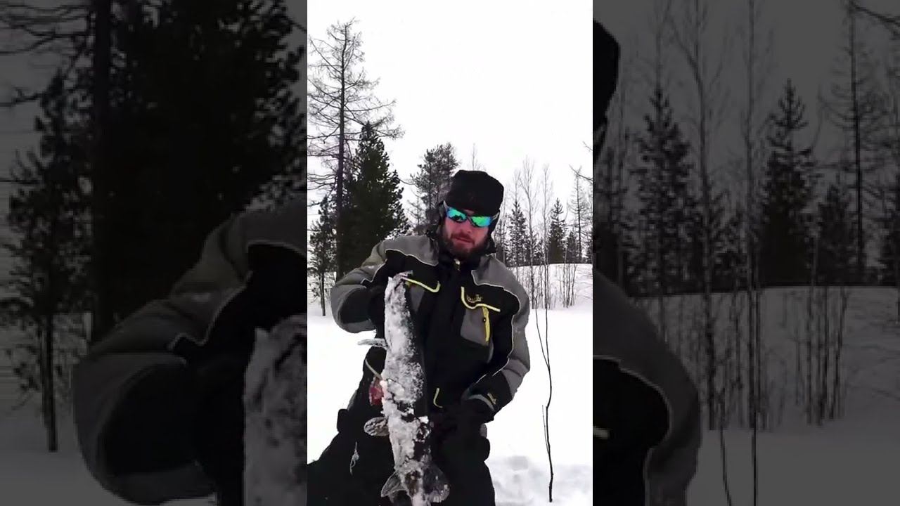 Жерлица с бубенцами #short #short