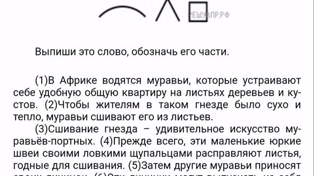 Разбор слова по составу. ВПР.