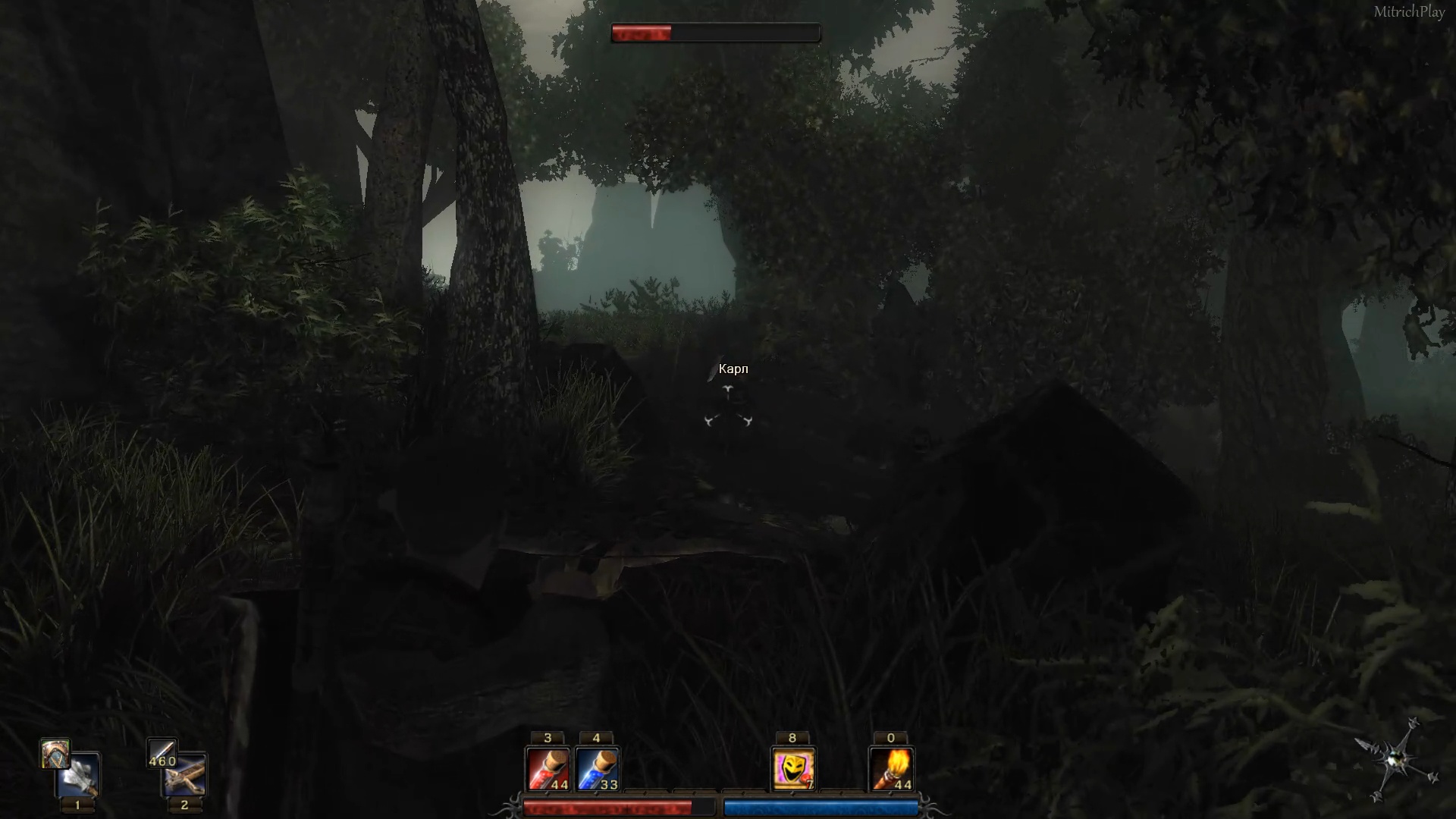 Охота в восточном лесу ►Мир► Risen #12