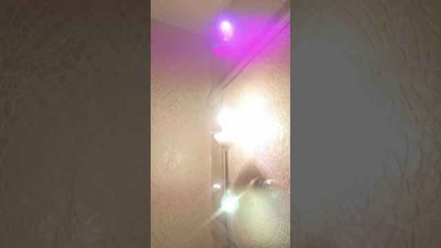 Призма в Воркуте #2