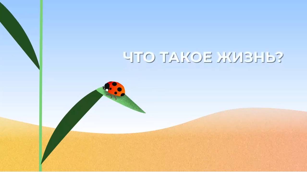 Что такое жизнь? В чём разница между живой и не живой материей? По книгам Николая Левашова