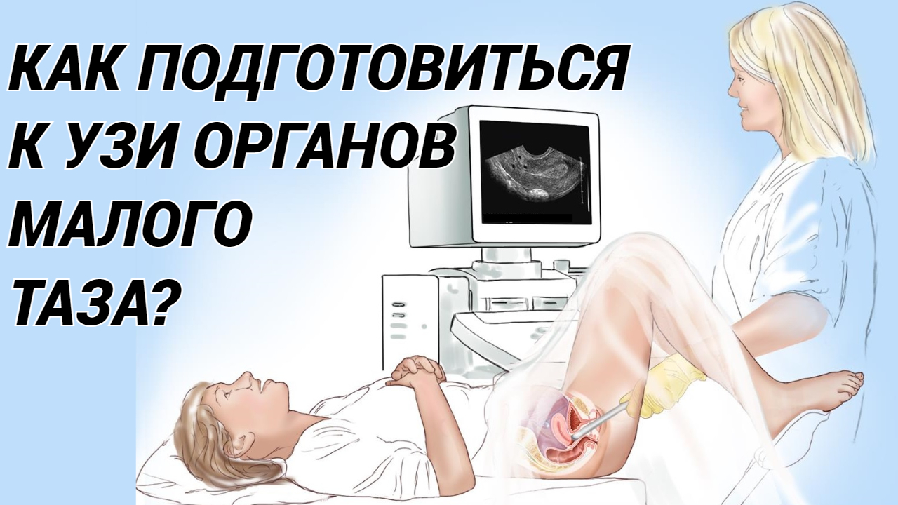 УЗИ органов малого таза: матки, маточных труб, яичников. Как подготовиться?