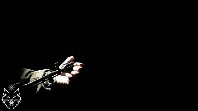 Дожигатель РУСИЧ от Виталия.mp4