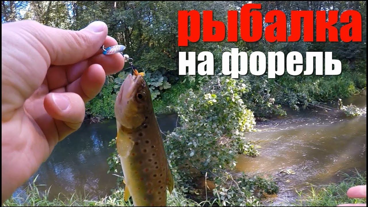 Ловля ФОРЕЛИ на микроречке | Хорошие поклёвки на блесну!