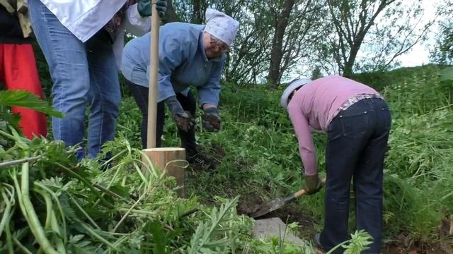 Библиотечный экологический пикник