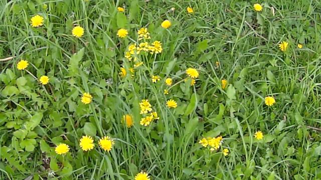 ВЕСЕННЯЯ АКЦИЯ - РУЧНАЯ ПЛАСТИКА ТЕЛА «ВСЁ ПО 30»!