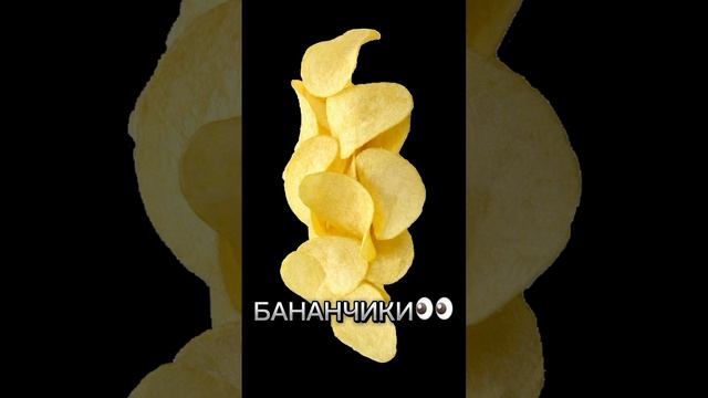 Прикол про мопса и питона! #shorts