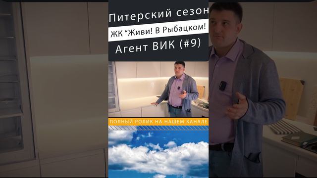 Живи! В Рыбацком. Питерский сезон - Агент ВИК (#9)