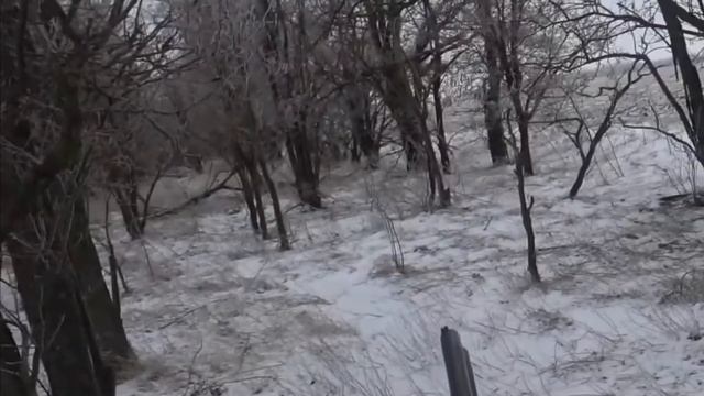 ( 18+) за _калмыцким_ зайцем (бакс продакшн и гоп компания).mp4