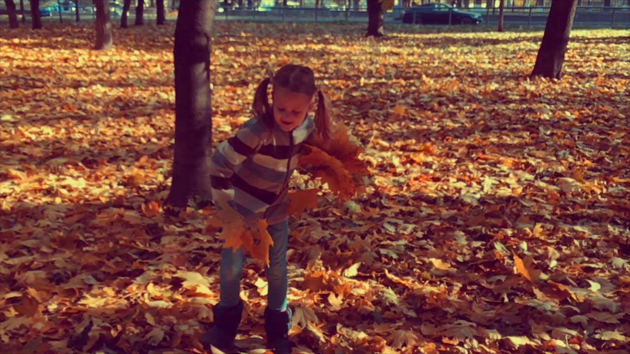 Золотая тёплая осень 2018