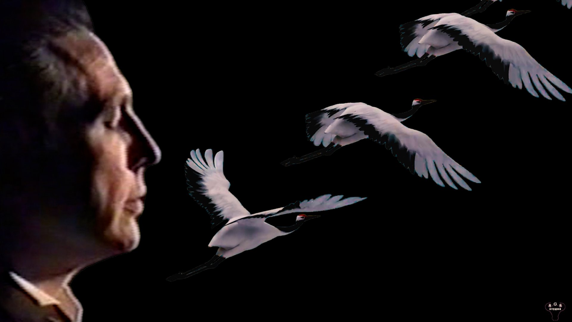 Алексей Галкин. «Журавли» Я.Френкель - Р.Гамзатов. (пер. Н.Гребнев.)