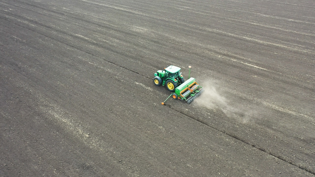 О рекордных урожаях рапса и уникальном сорте льна в репортаже телеканала «Кубань 24»