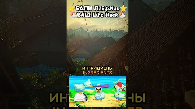 ? «Bali Life Hack / Бали Лайф Хак»
