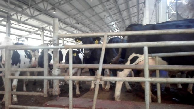 Алмазное бурение в железобетоне