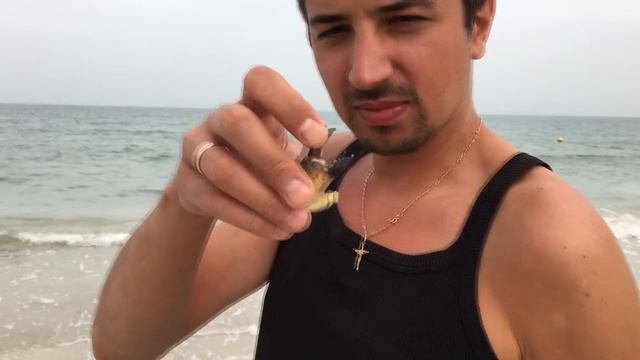 #4 СРЕДИЗЕМНОЕ МОРЕ НА ОСТРОВЕ ДЖЕРБА || СУВЕНИРЫ И ГРОЗА В ТУНИСЕ