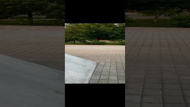 Весёлый гонщик