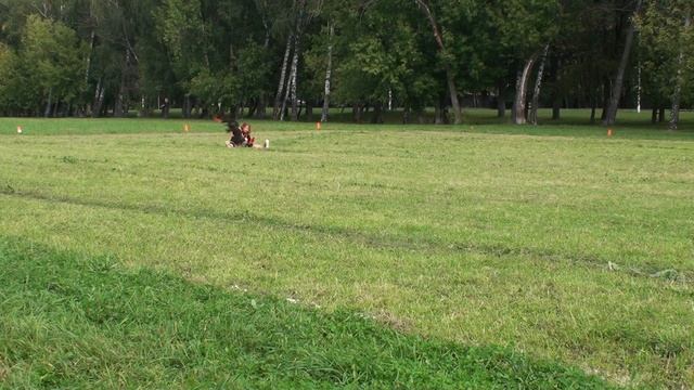 Russian USDDN WF Qualifier Елена и Умка 2.mp4