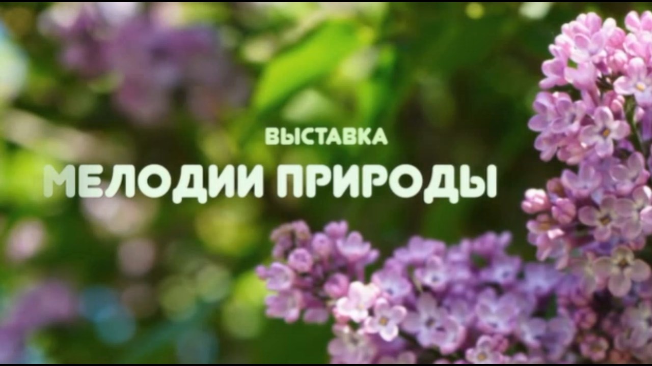 "Мелодии природы" выставка
