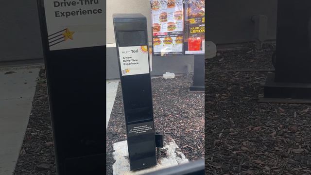 AI Drive-Thru Glitches During Order Taking   ViralHog