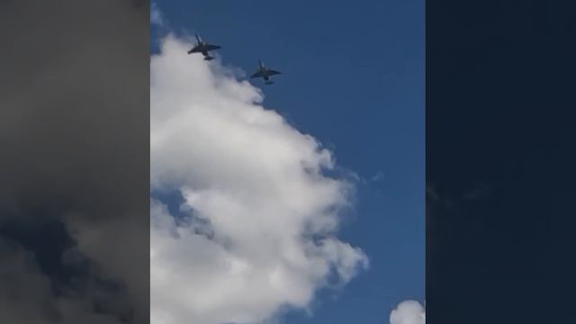 СВО🔥🔥🔥💪💪💪🫡🫡🫡  🇷🇺🇷🇺🇷🇺