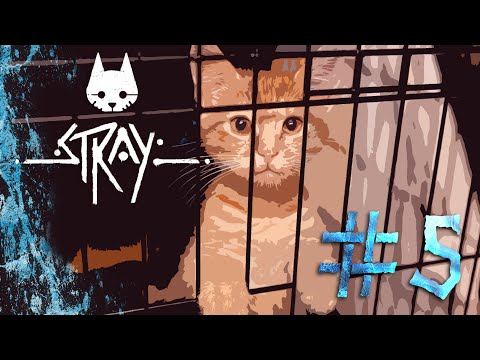 ПОЙМАЛИ ЗА ХВОСТ ► STRAY #5