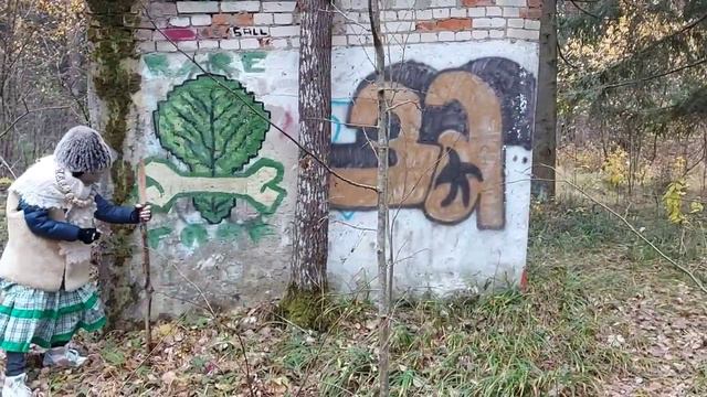 Бабка Ёжка против маньяка!_Или как Баба Яга, нашла того, кто её избушку сломал! 20 серия. (1)