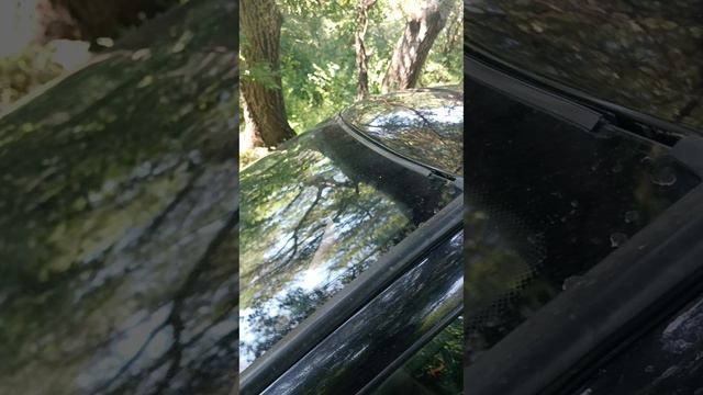 Лёгкий хеиртрик с одного DL AUDIO LEGEND 12