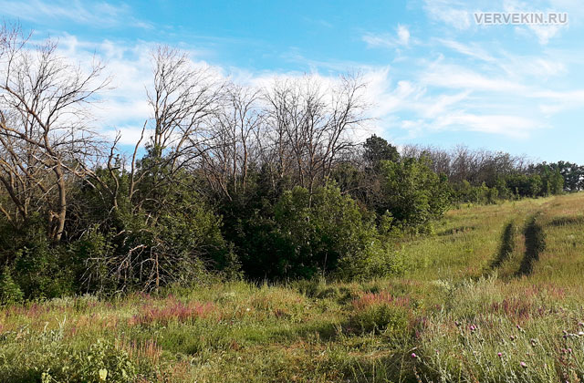 Коп металла