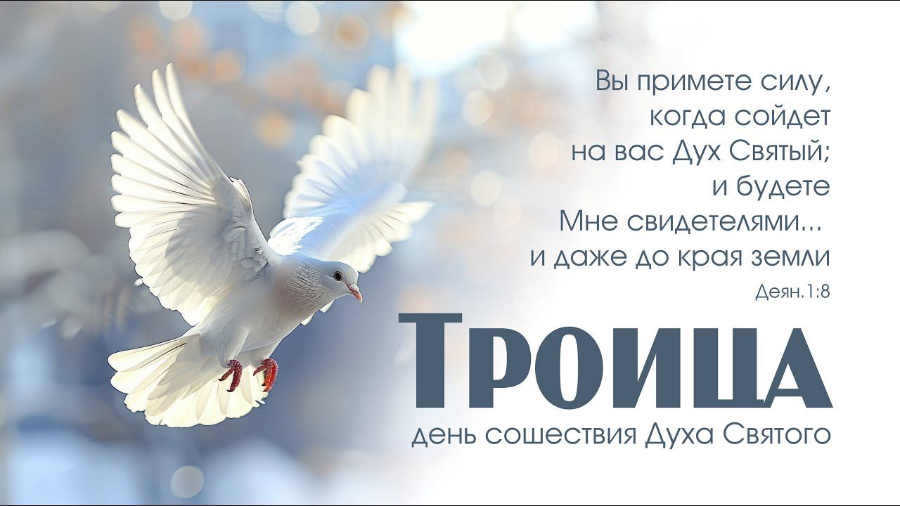 Троица | 23 июня 2024 г. | Новосибирск