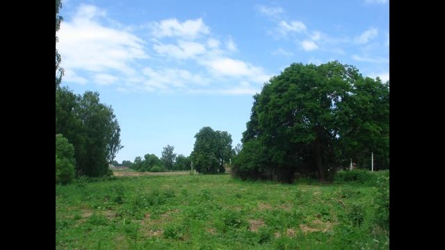 Усадьба Белая Колпь